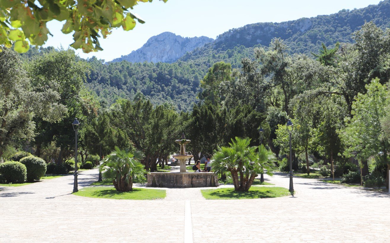 Pollensa Market and Lluc tour